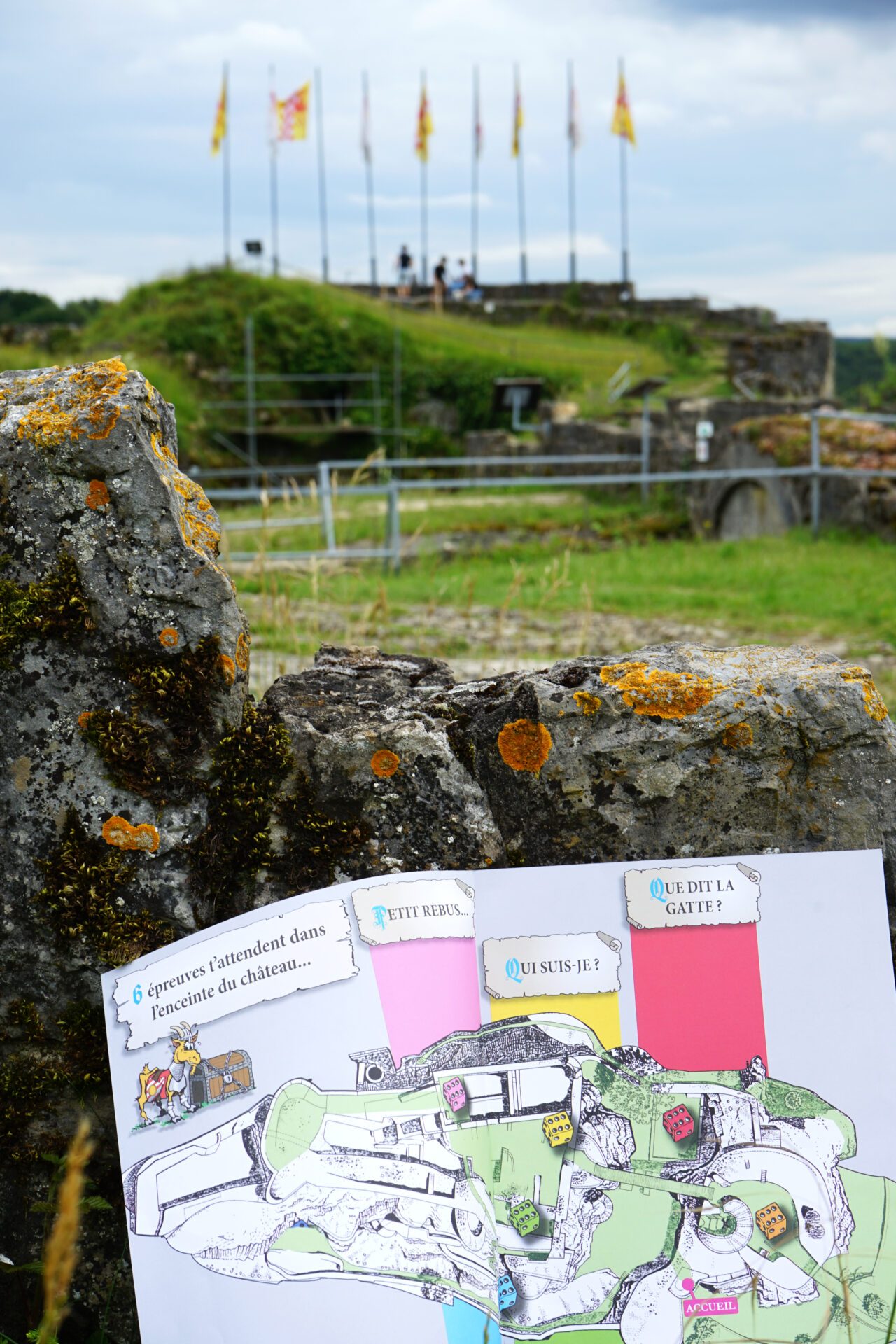 La chasse au trésor de la Gatte d'Or est de retour pour l'été - Domaine ...